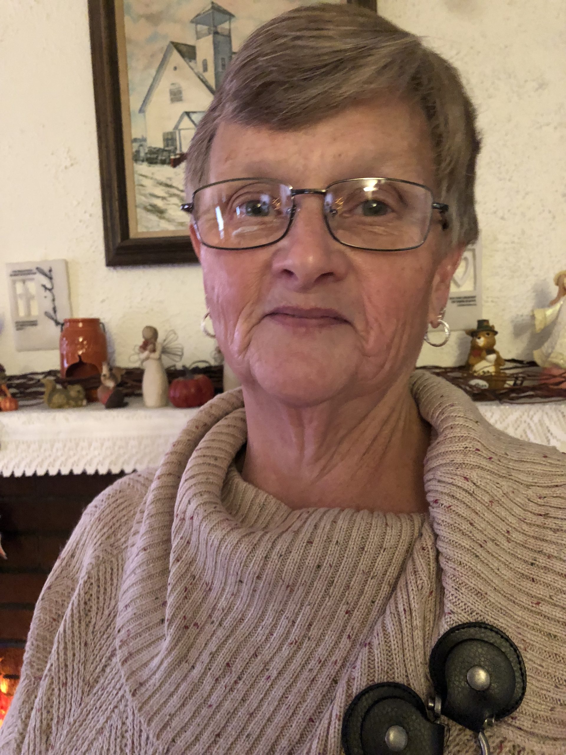 Nettle Creek School Board Candidates - Western Wayne News