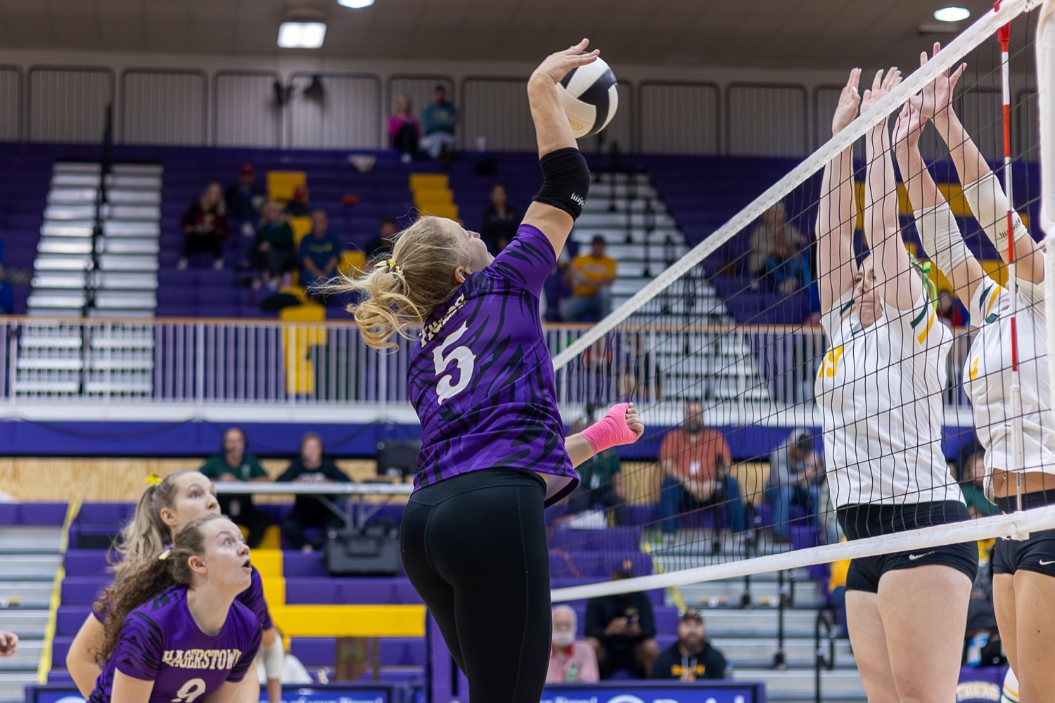 Northeastern repeat - Western Wayne News