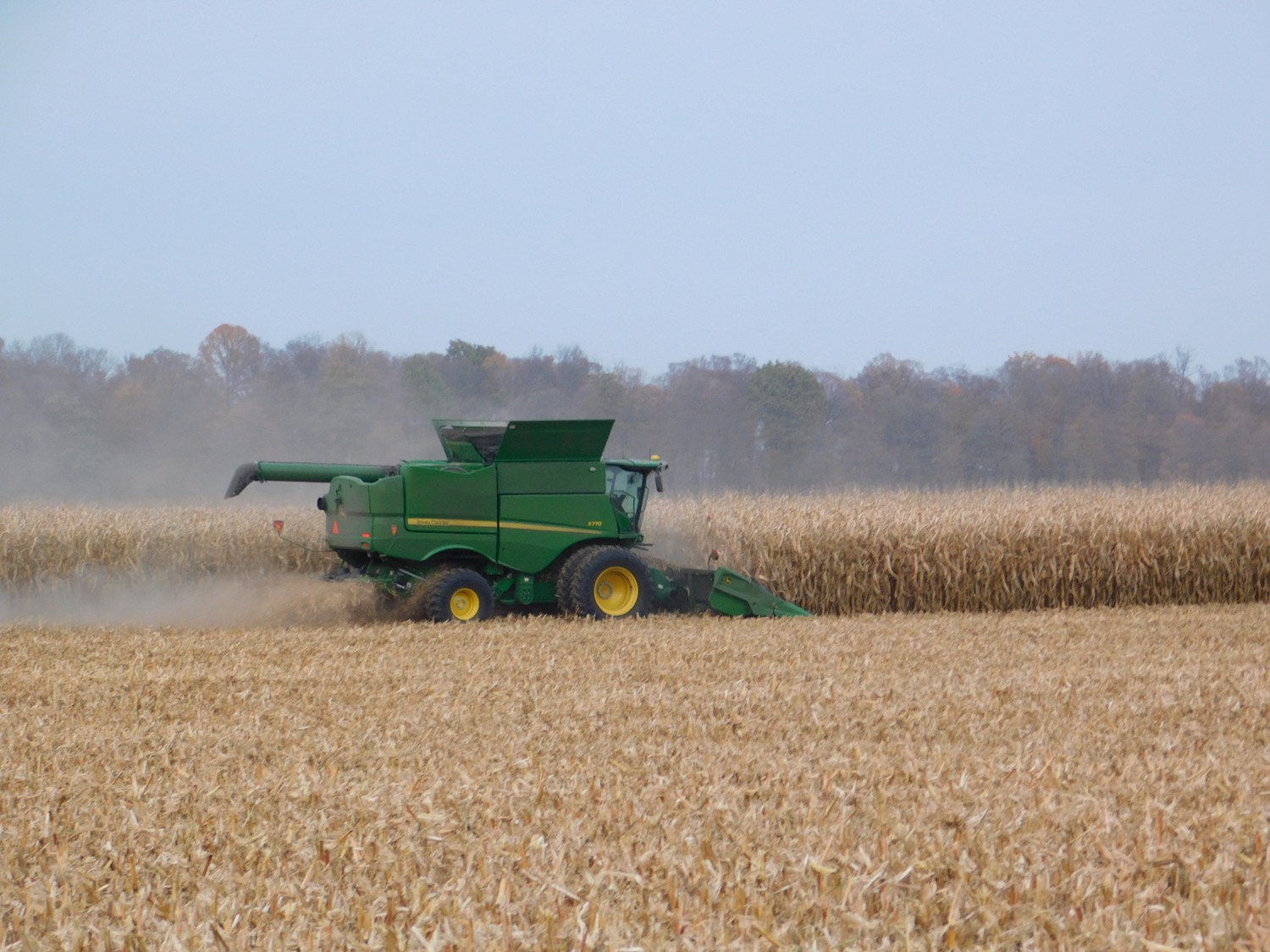 Weather favors crops this year - Western Wayne News