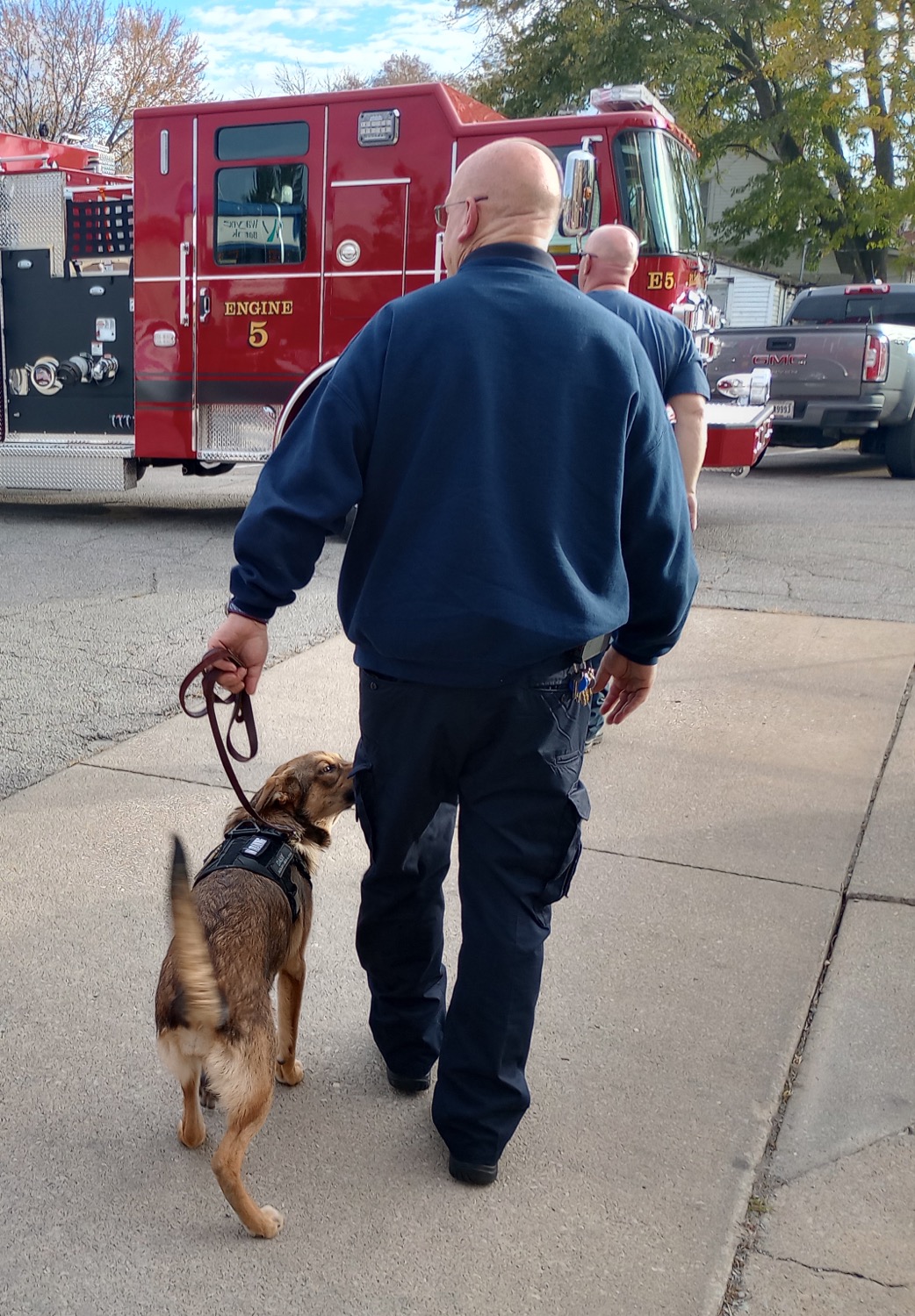 Daisy blooms as RFD comfort dog - Western Wayne News