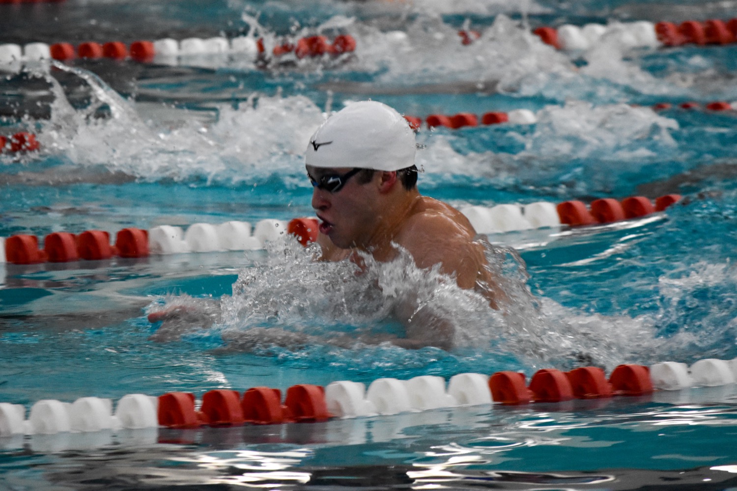 Swimmers ride title wave to state meet - Western Wayne News