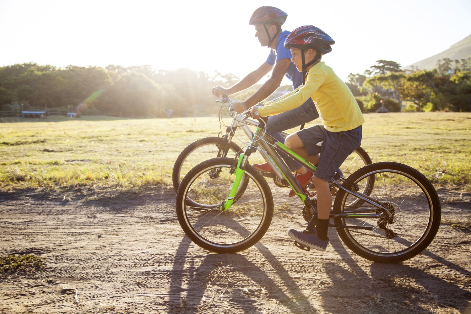 Hike, bike and learn with upcoming Hayes Arboretum programs - Western ...
