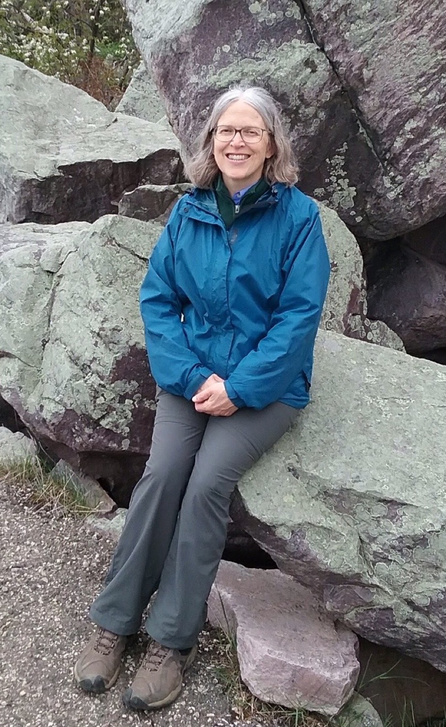 Retired physician recognized for climate action - Western Wayne News