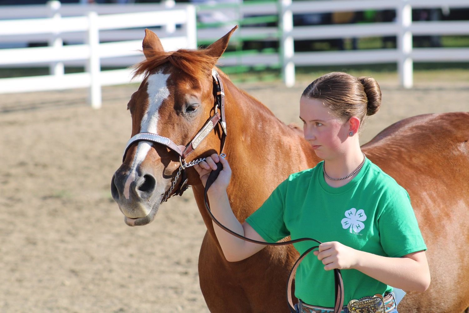 Ideas, help sought for 2025 fair - Western Wayne News