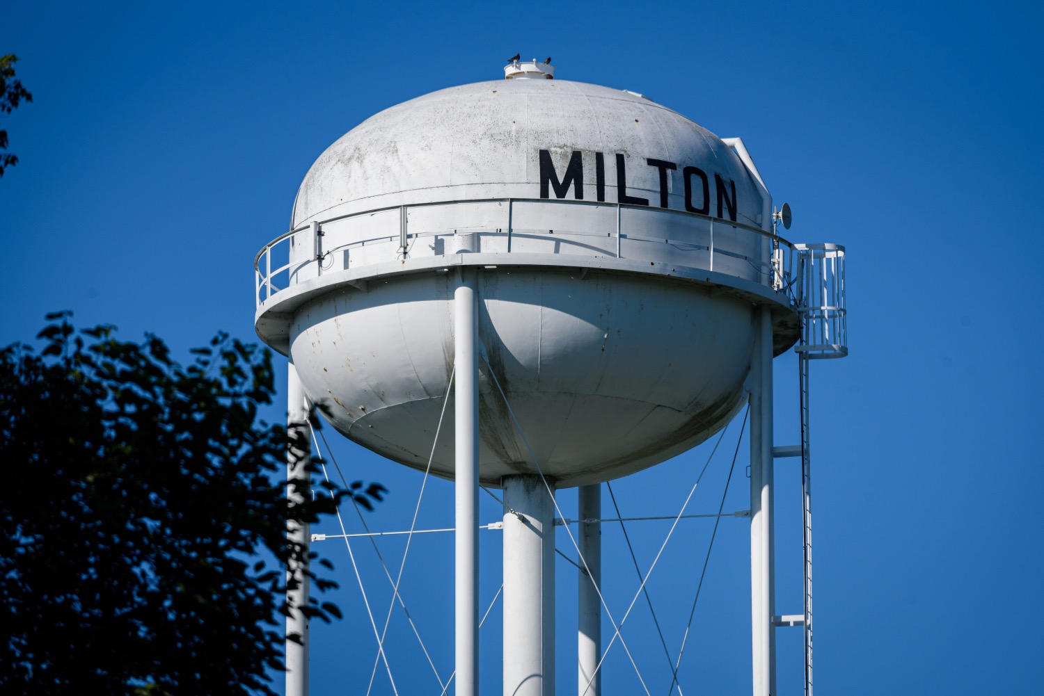Milton Town Board appoints new fire chief - Western Wayne News
