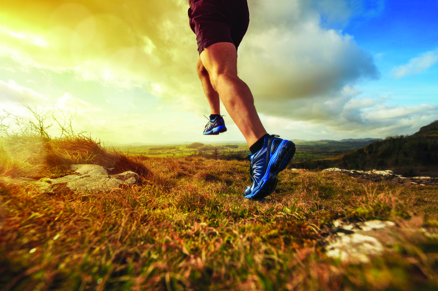 Tigers, Knights open season with strong runs - Western Wayne News