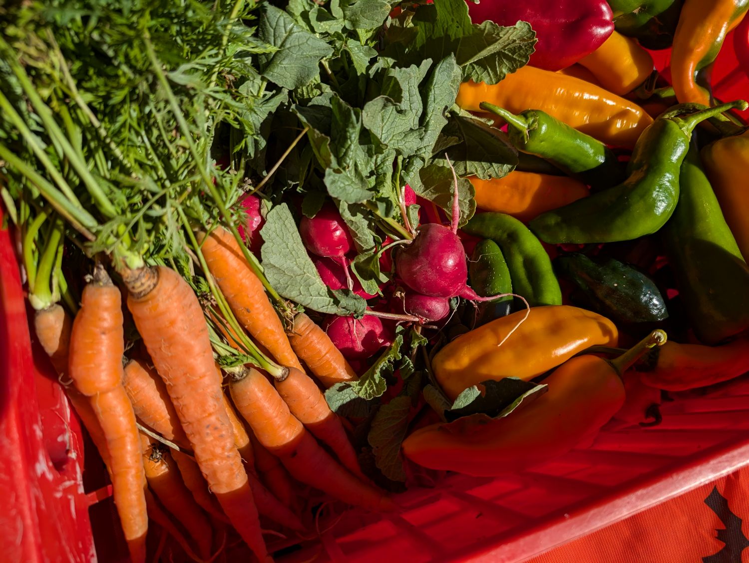 Farmers market joins town nonprofit - Western Wayne News