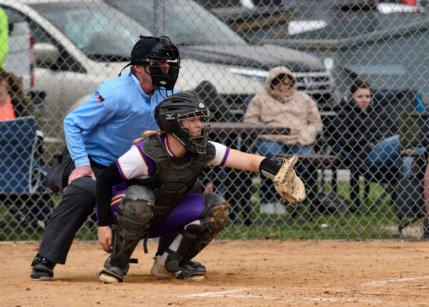 Tigers will be Wayne County team to beat - Western Wayne News