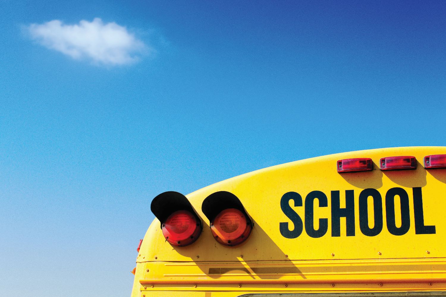Centerville schools buying 2 new buses - Western Wayne News